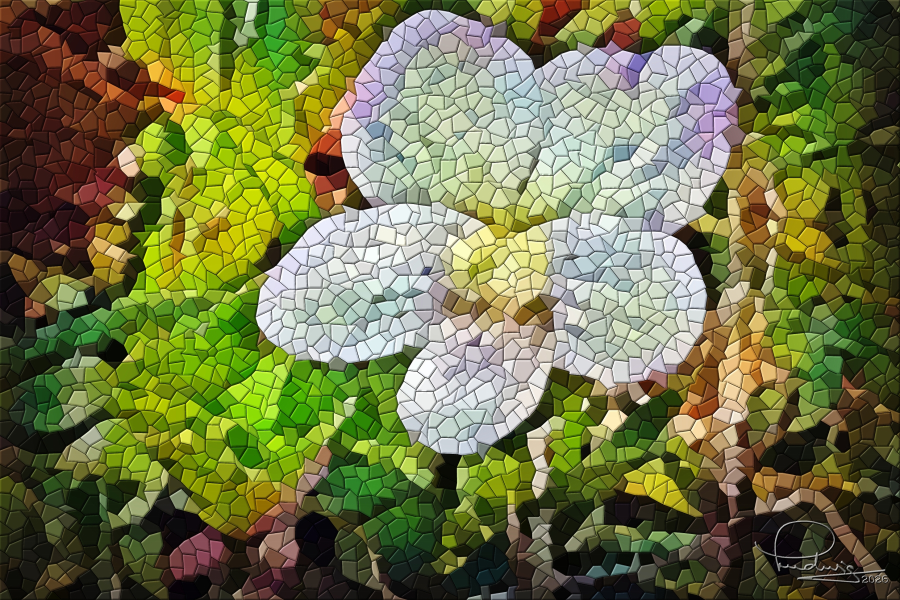 White Violet - Cafe Ludwig
